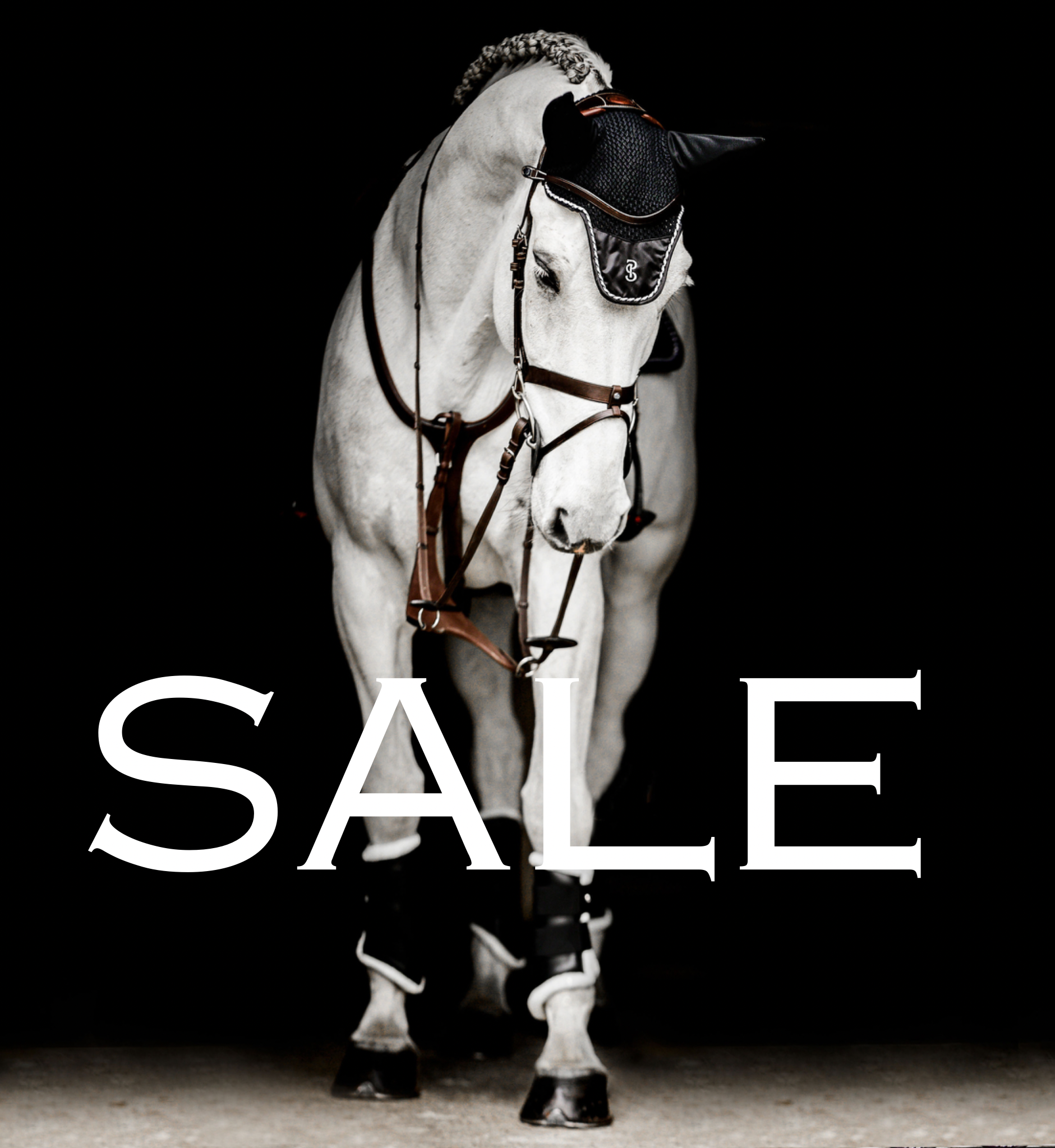 SALE – European Equine